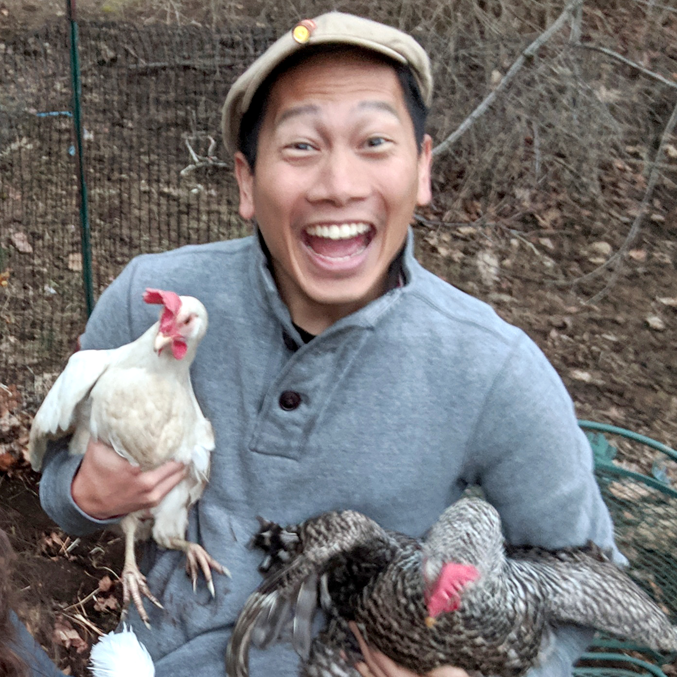 Welcome - Dan Van Tran